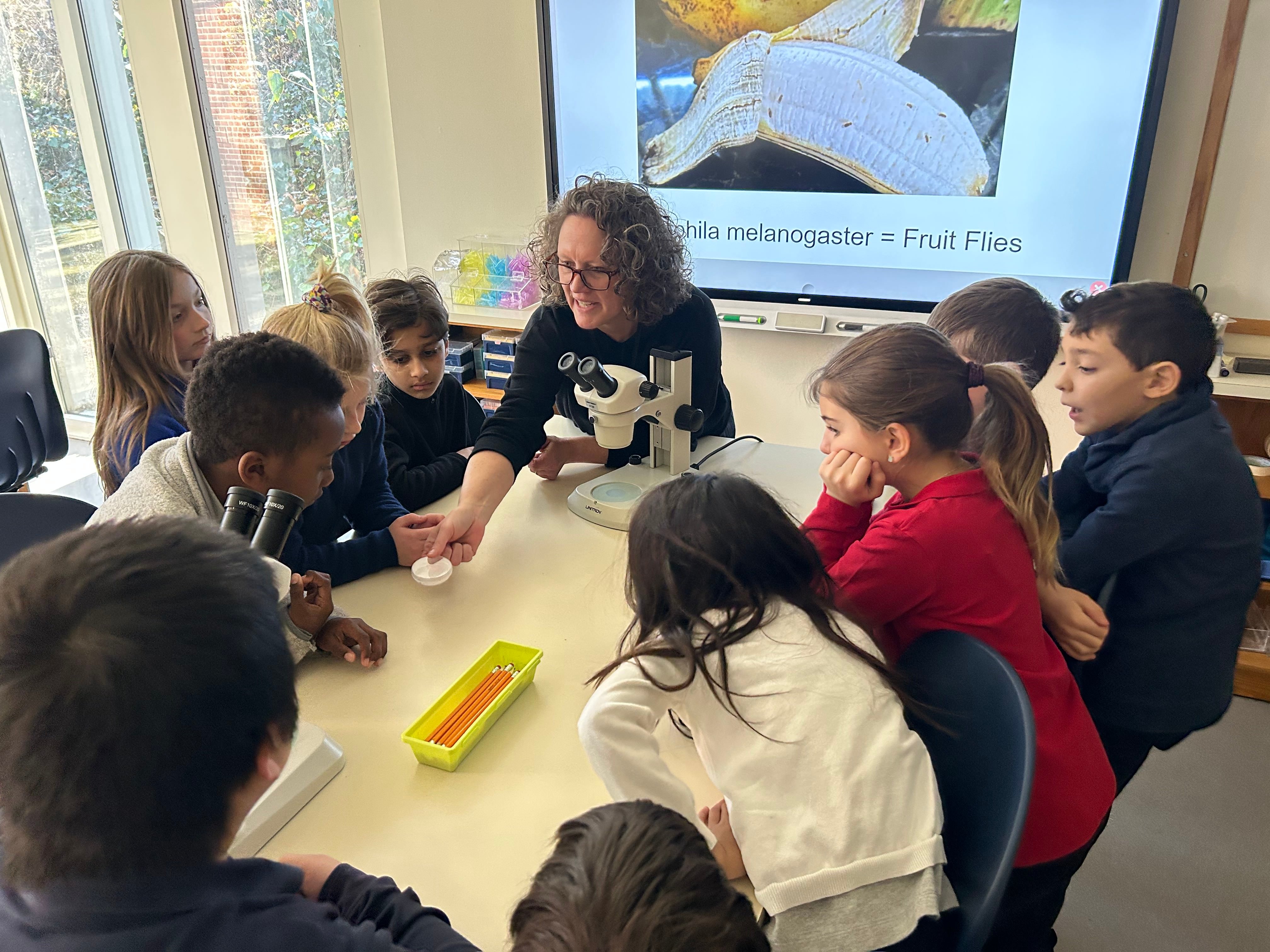 3rd graders enhance their studies at CSHL DNA Learning Center
